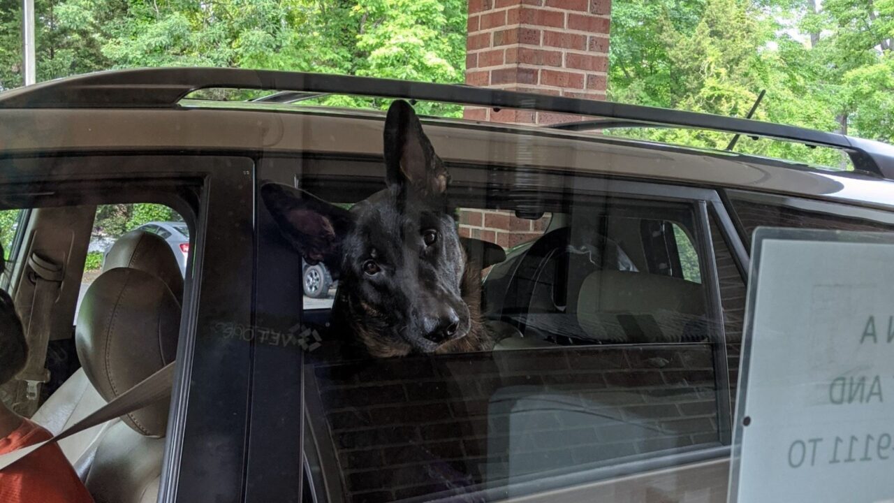 Pet Drive Thru Services in Winston-Salem, NC 27106 | Reynolda ...