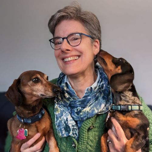 Veterinarian in Winston-Salem, NC 27106 | Reynolda Veterinary Hospital